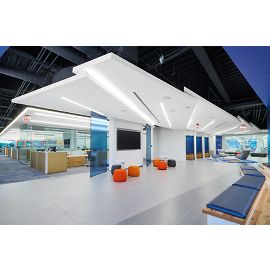 Commercial Ceiling Pane