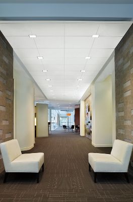 Armstrong Ceiling Grid Slot Punch | Shelly Lighting