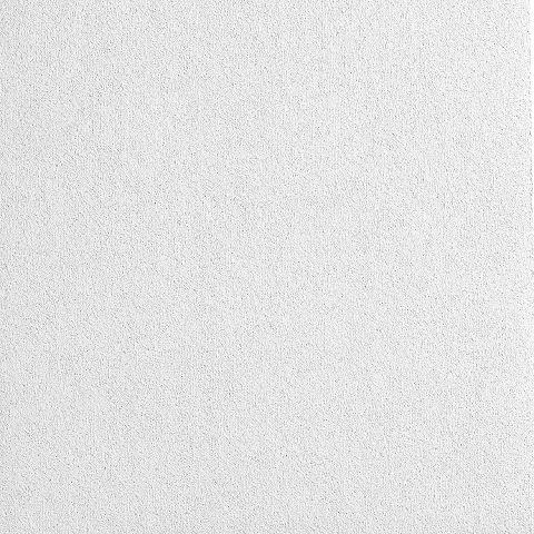 CALLA - 2824 | Armstrong Ceiling Solutions – Commercial