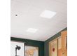 RANDOM FISSURED - 2911 | Armstrong Ceiling Solutions – Commercial