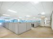 PRELUDE XL 15/16" Exposed Tee - 7300 | Armstrong Ceiling Solutions ...