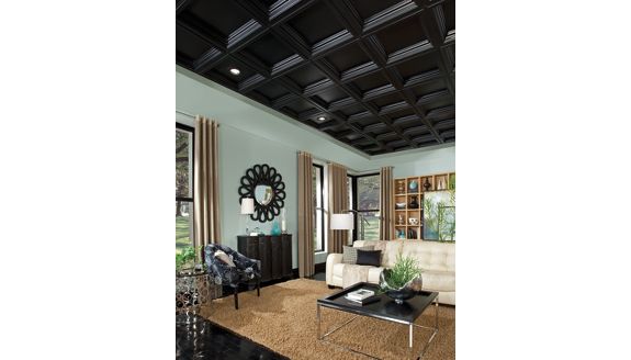 Moisture Resistant Ceiling Tiles