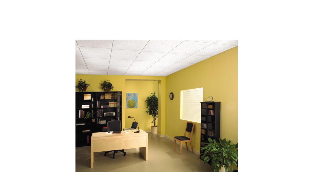 Armstrong Ceiling Tiles Model 266 | Shelly Lighting