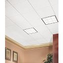 FISSURED - 755 | Armstrong Ceiling Solutions – Commercial
